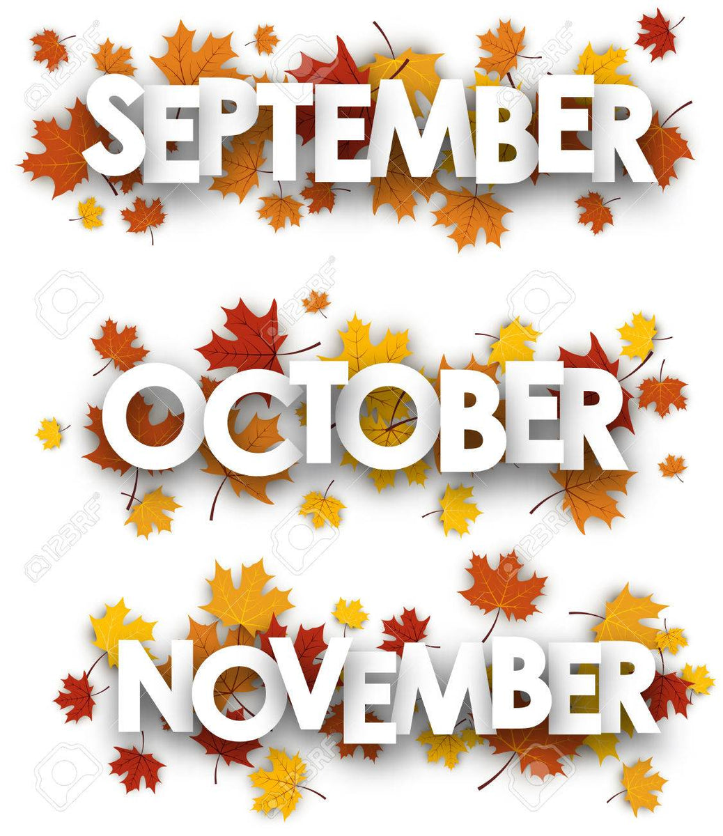 Understanding the September and October Surge in Recommendation Letter ...